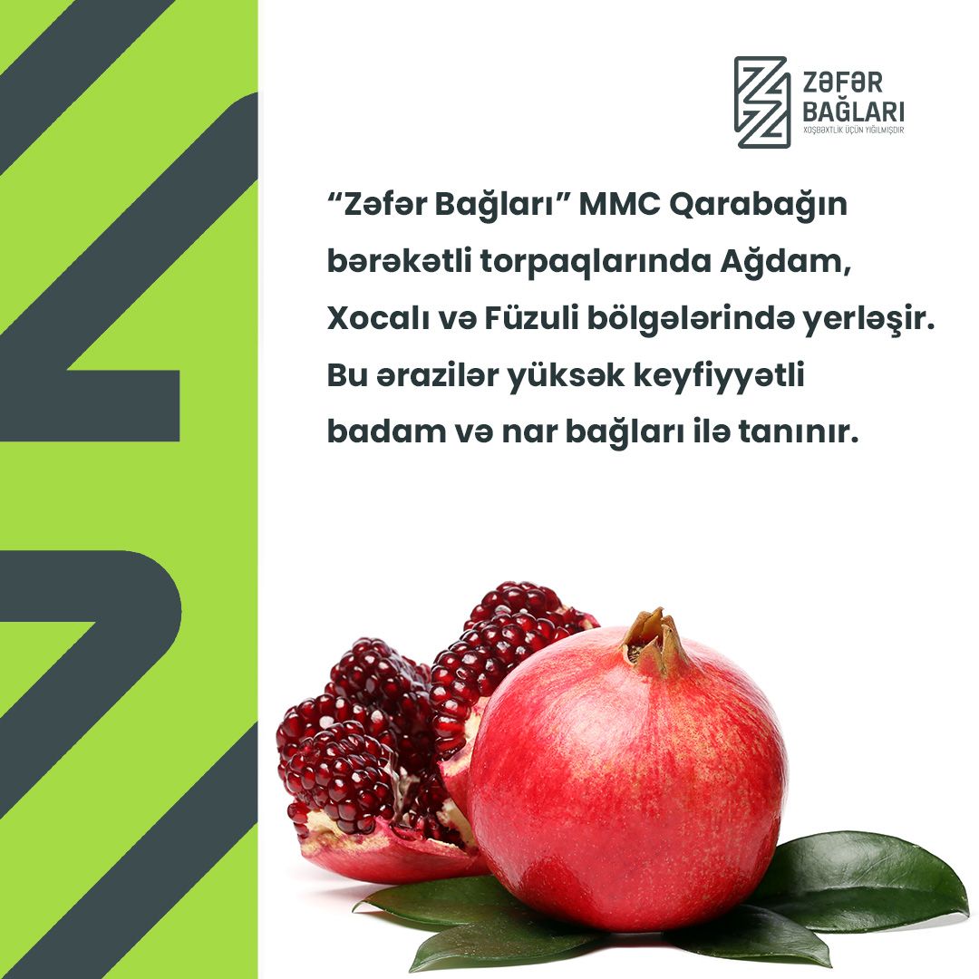 Qarabağda yeni bağların salınması və mövcud bağların bərpası ilə məşğul ...